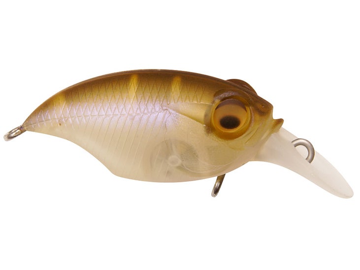 Megabass Griffon SR-X BFS Crankbait | Tackle Warehouse