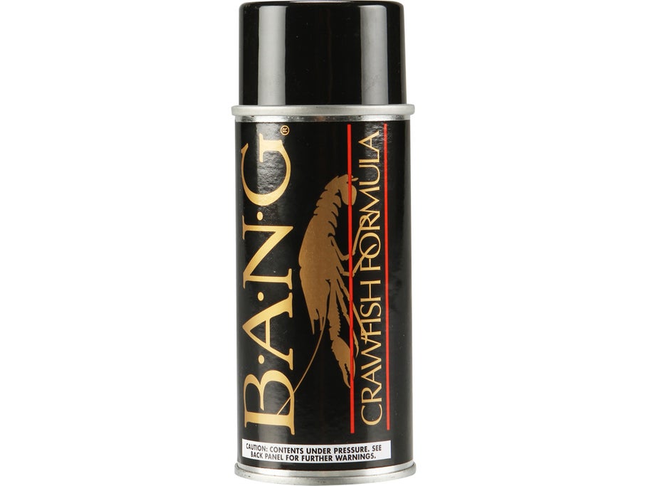 BANG Fish Attractant 5oz Aerosol Spray - Tackle Warehouse