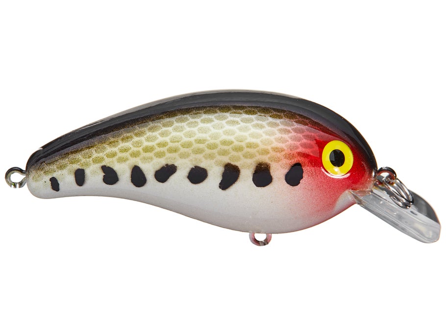 Cotton Cordell Big O C77 Squarebill Crankbaits - Tackle Warehouse