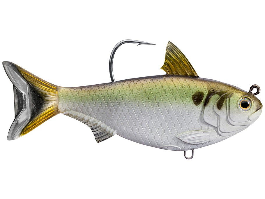 LIVETARGET Gizzard Shad Swimbait - Tackle Warehouse