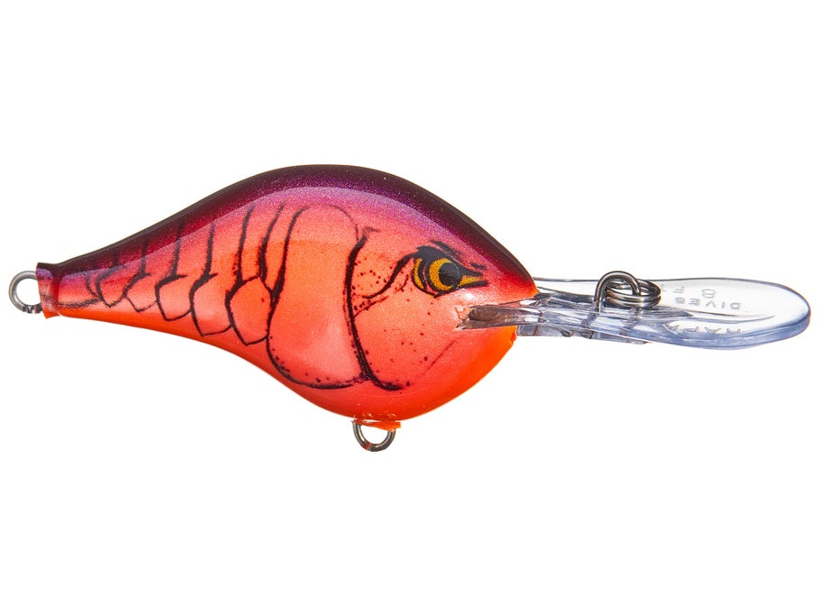 Rapala DT10 Series Crankbaits | Tackle Warehouse