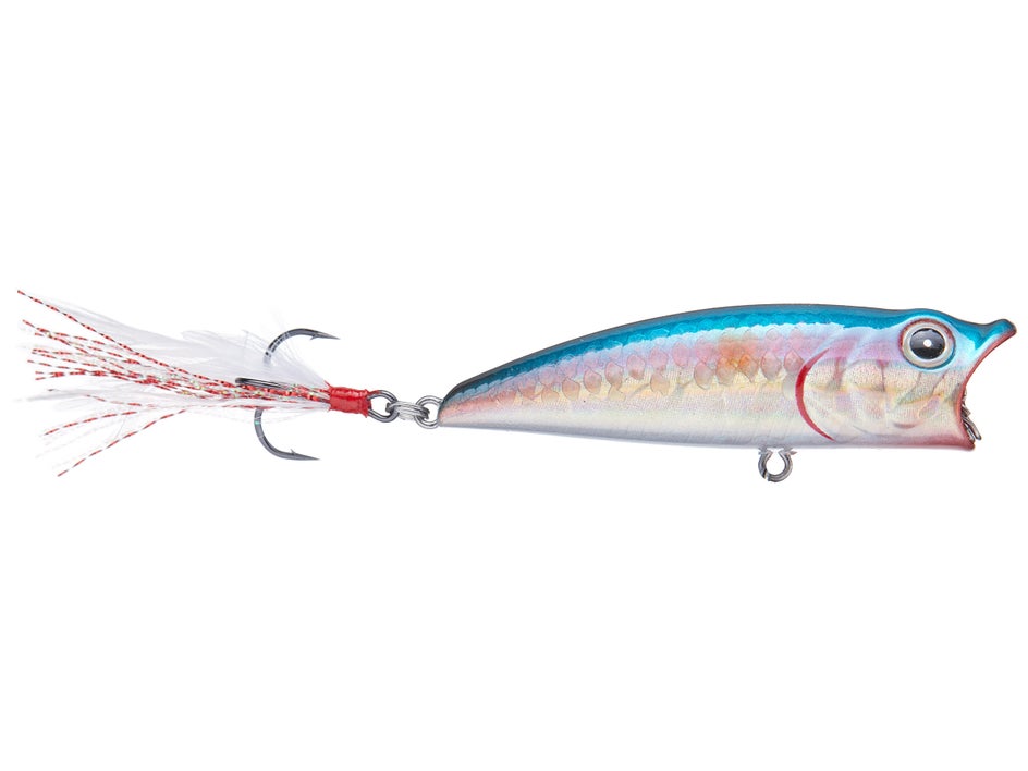 BassMooch Popper Z Popper - Tackle Warehouse