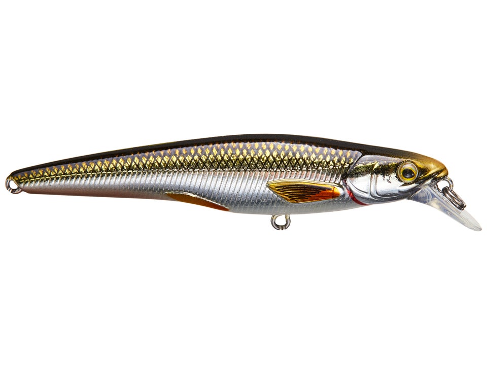 LIVETARGET Rainbow Smelt Jerkbait 91S | Tackle Warehouse
