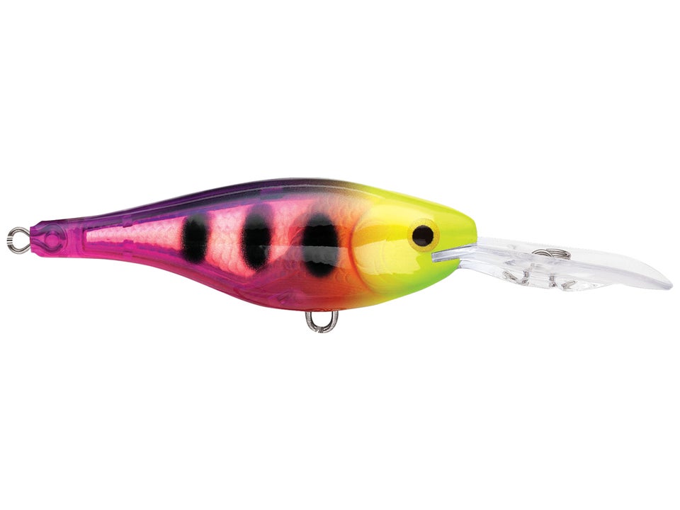 Rapala Glass Shad Rap 7 Crankbaits | Tackle Warehouse