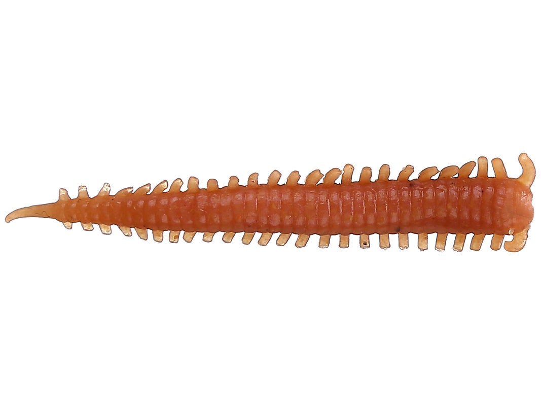 Berkley Gulp 2" Sandworm - Tackle Warehouse
