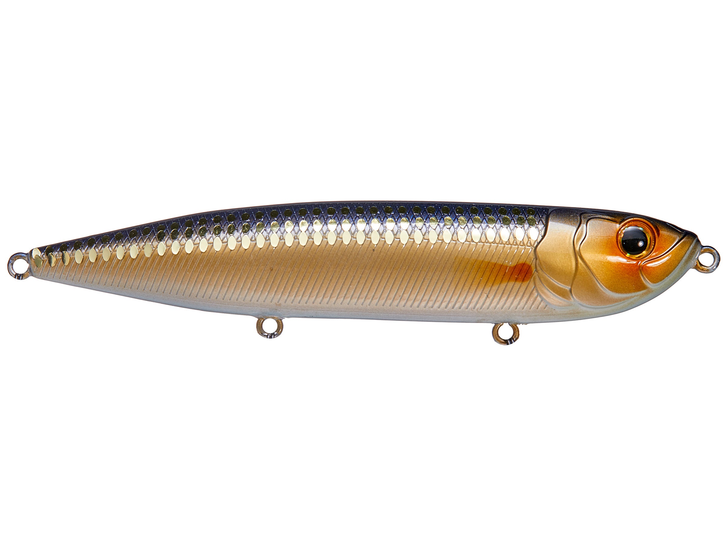 Golden Shiner patterns? - Fishing Tackle - Bass Fishing Forums