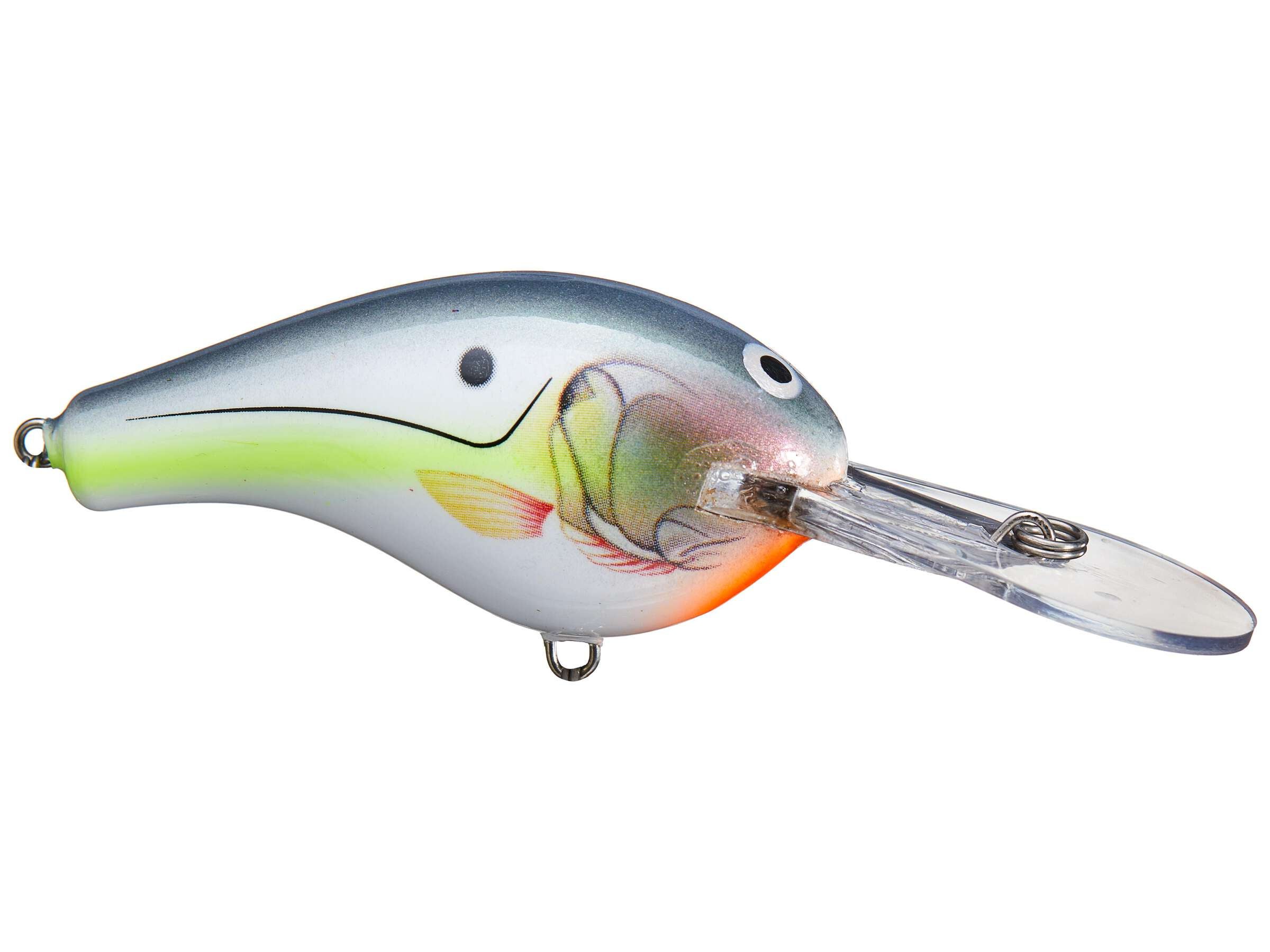 Bagley Balsa Diving B DB2 Crankbait - Tackle Warehouse