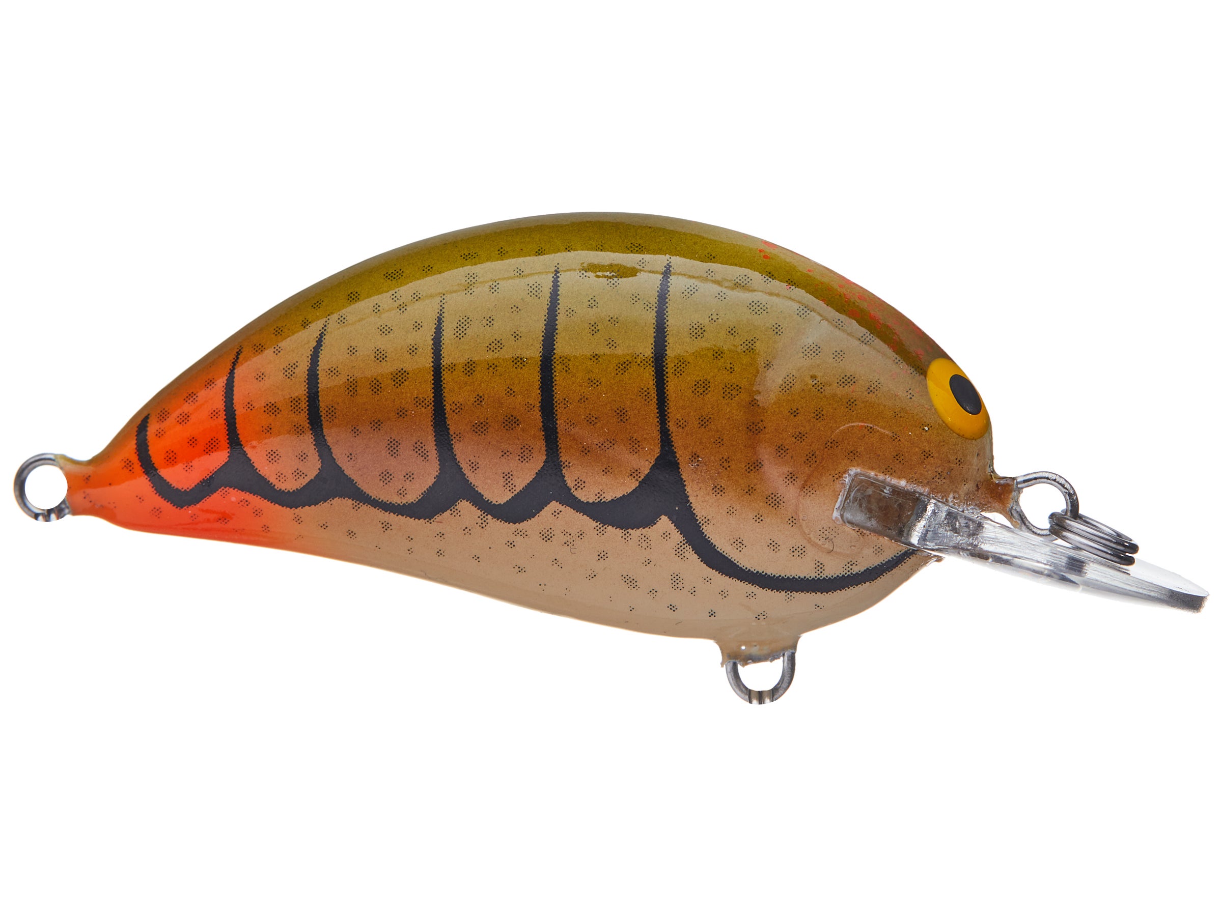 Bagley Balsa Sunny B Shallow Diver Crankbait - Tackle Warehouse