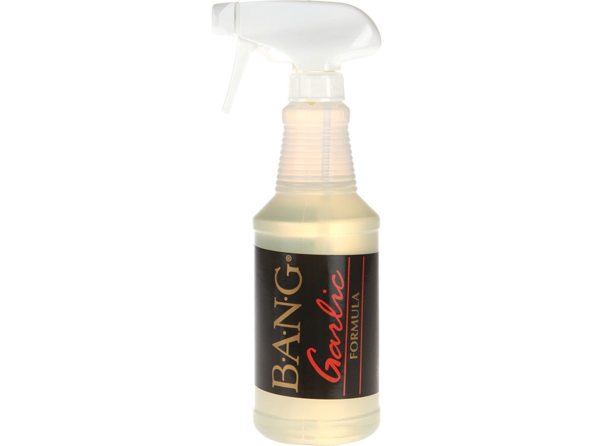 BANG Fish Attractant 16oz Trigger Spray - Tackle Warehouse