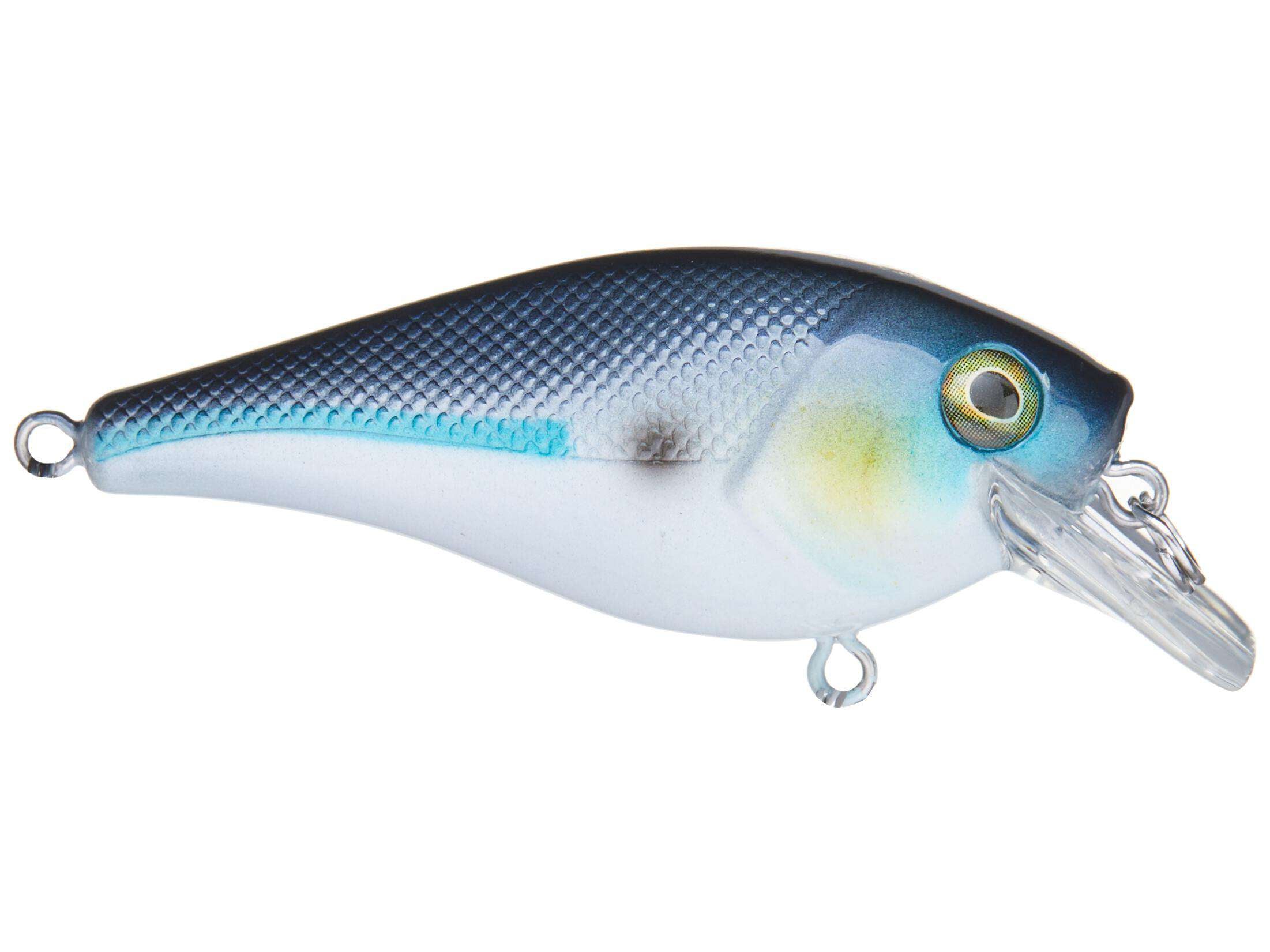 Berkley Squarebull 3.5 Crankbait - Tackle Warehouse
