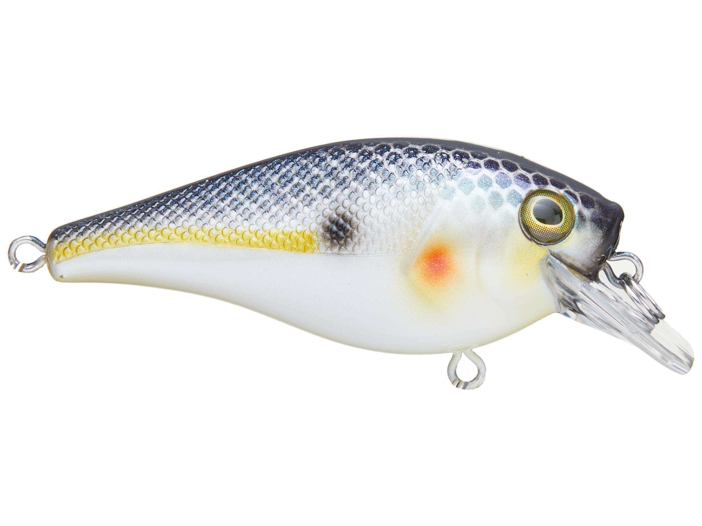 Berkley Squarebull 3.5 Crankbait - Tackle Warehouse