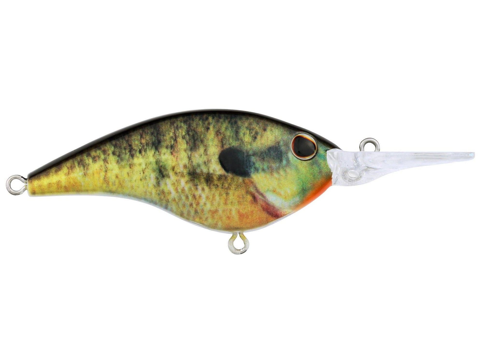 Berkley Frittside HD 7 Crankbait - Tackle Warehouse
