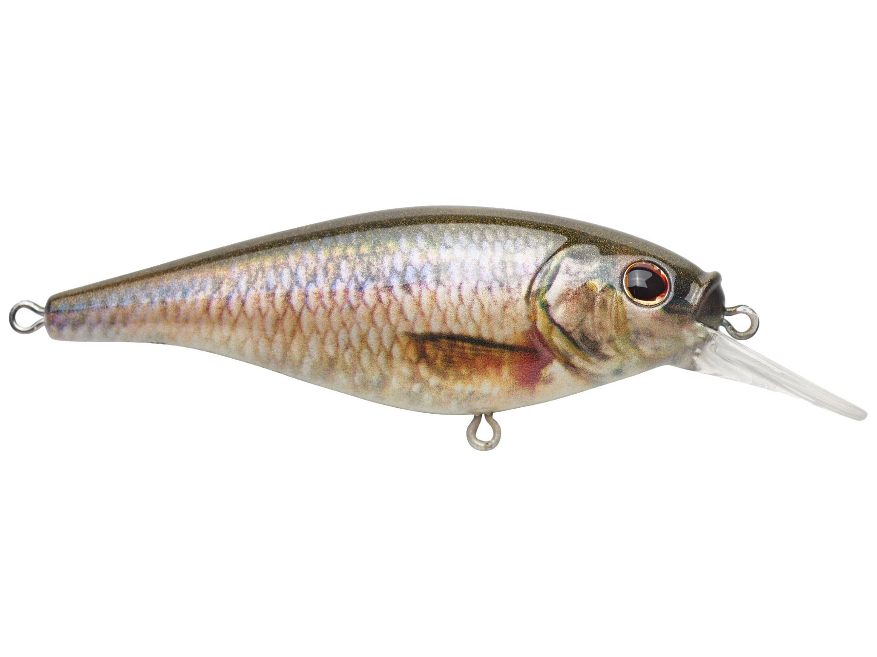 Berkley Flicker Shad HD Shallow Crankbait - Tackle Warehouse
