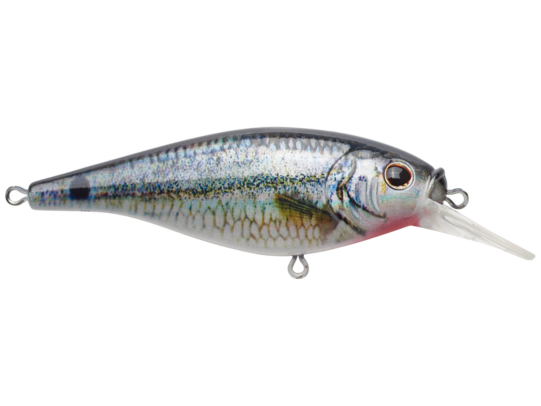 Berkley Flicker Shad HD Shallow Crankbait - Tackle Warehouse