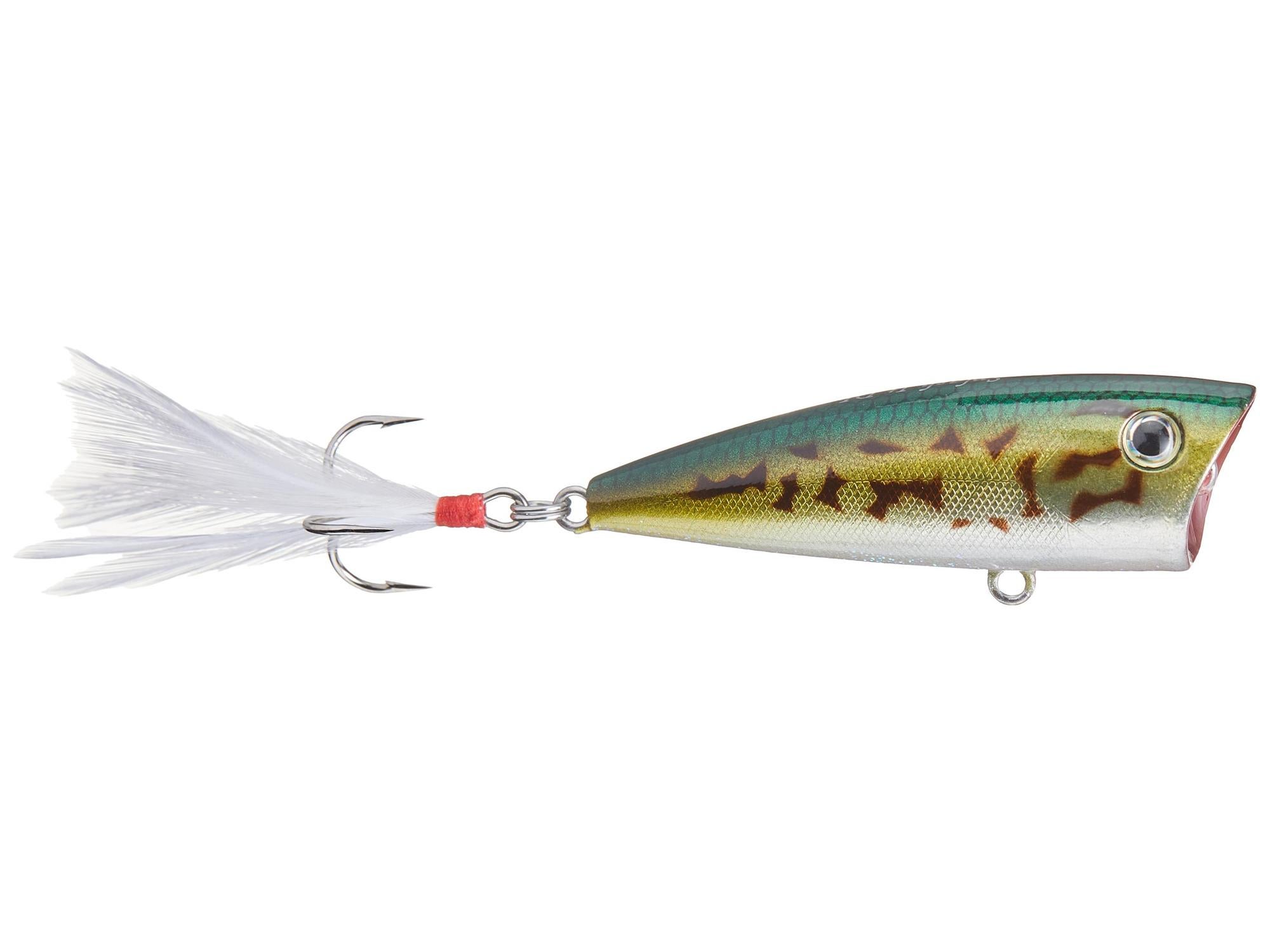 Don Iovino's Splash-It Poppers - Tackle Warehouse