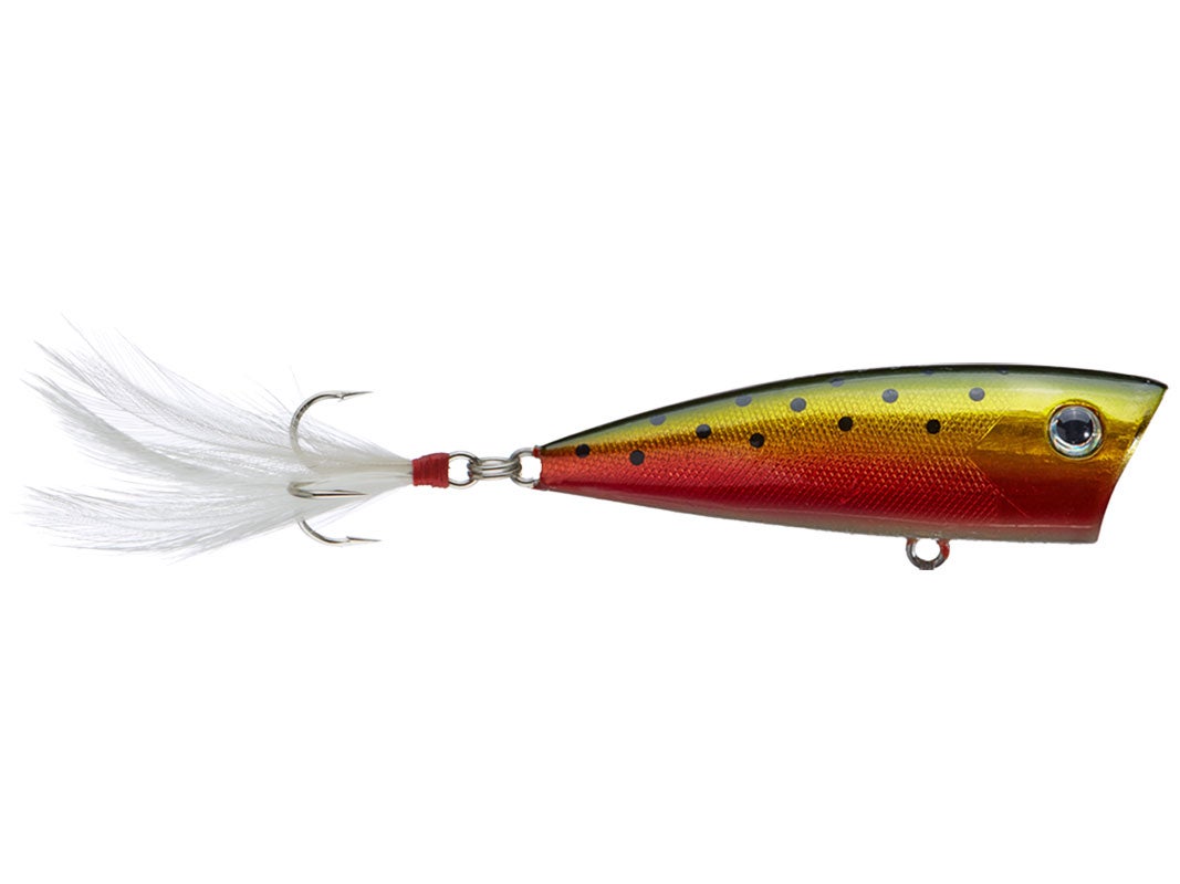 Don Iovino's Splash-It Poppers - Tackle Warehouse