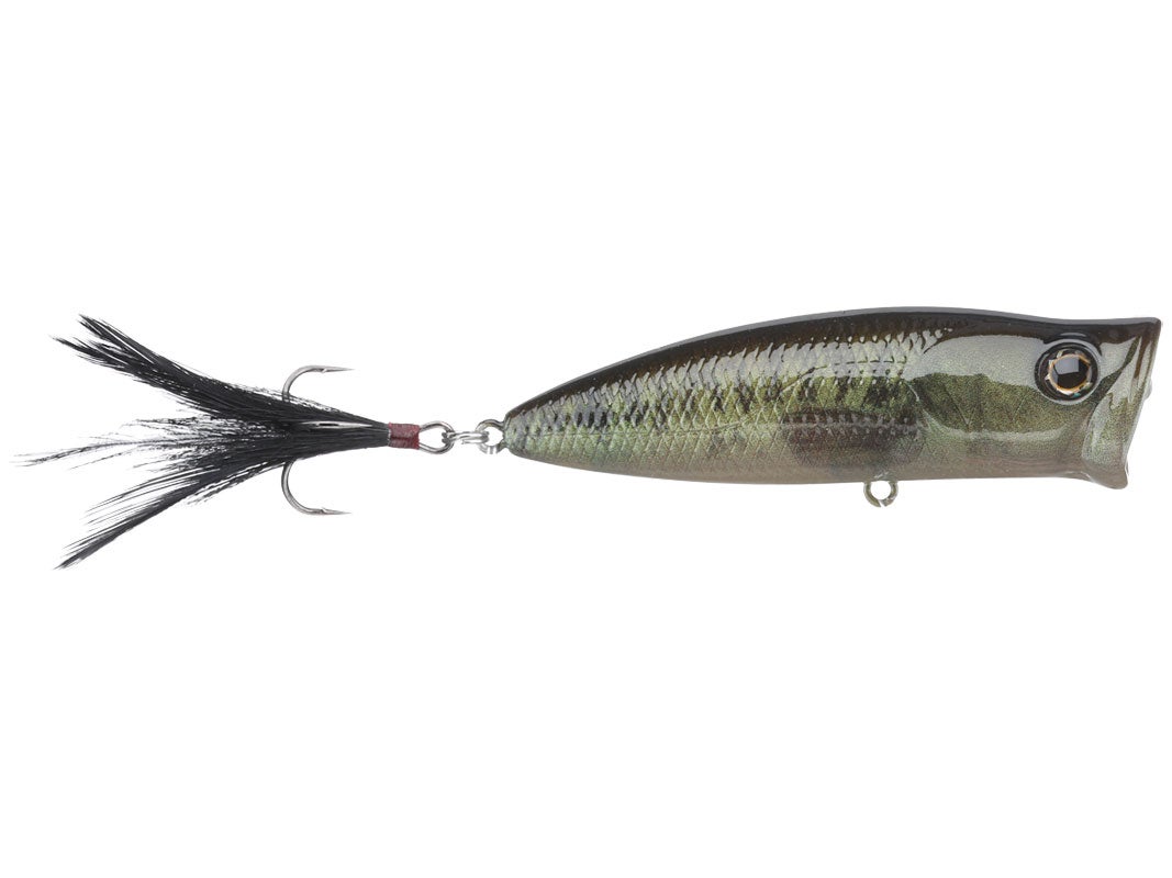 Deps PulseCod Topwater Popper - Tackle Warehouse