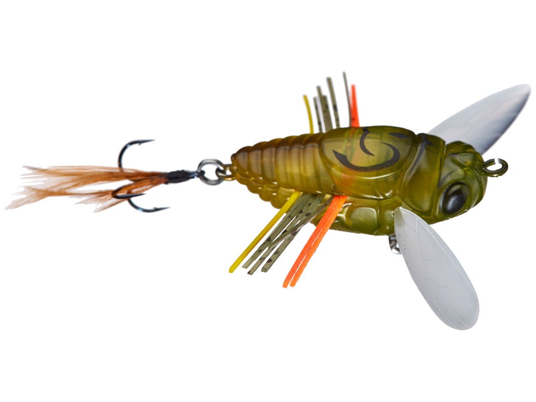 Duo Realis Shinmushi Cicada Bug - Tackle Warehouse