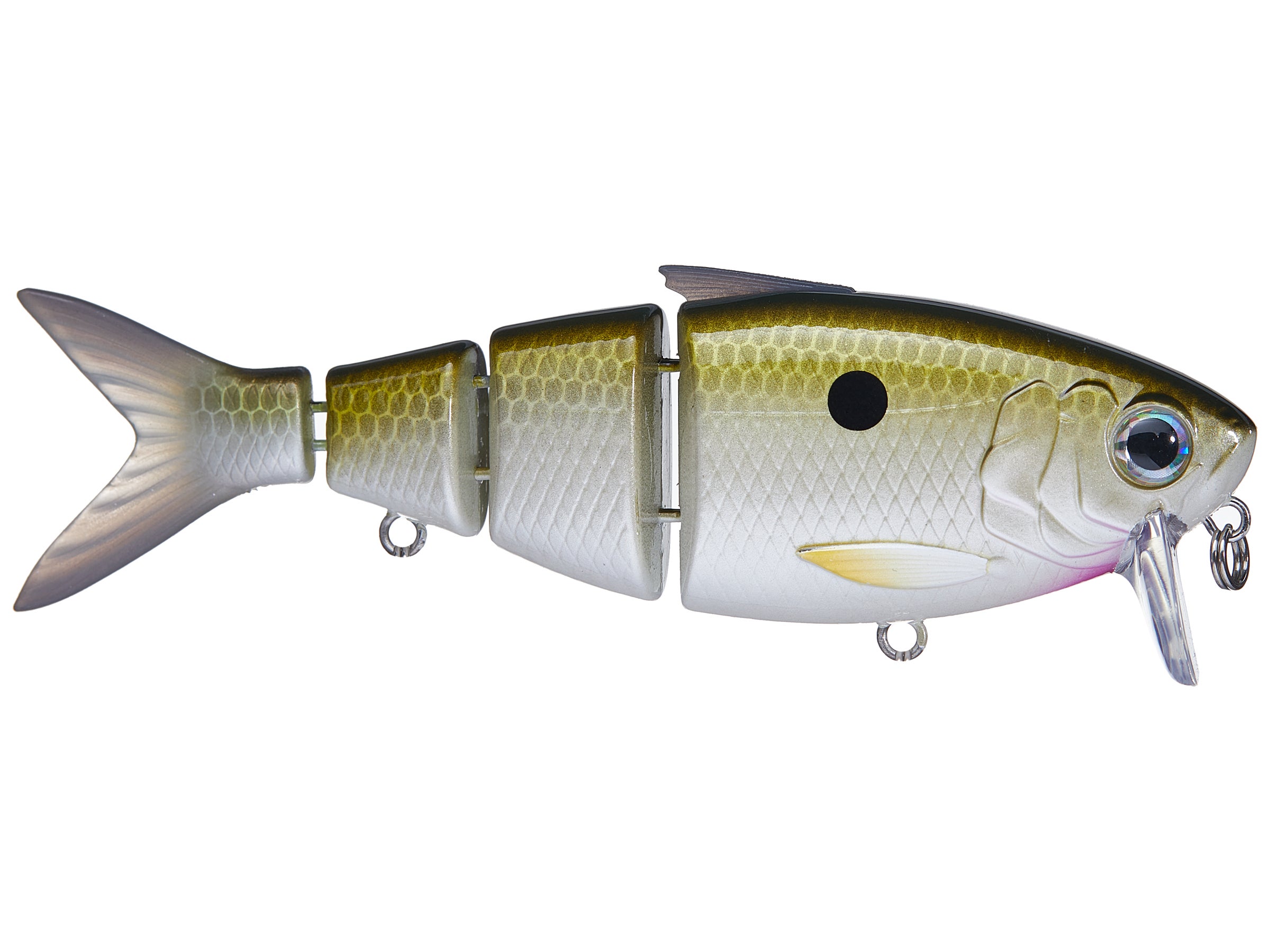 Fishlab BBZ Bio Cranking Shad 4" - Tackle Warehouse
