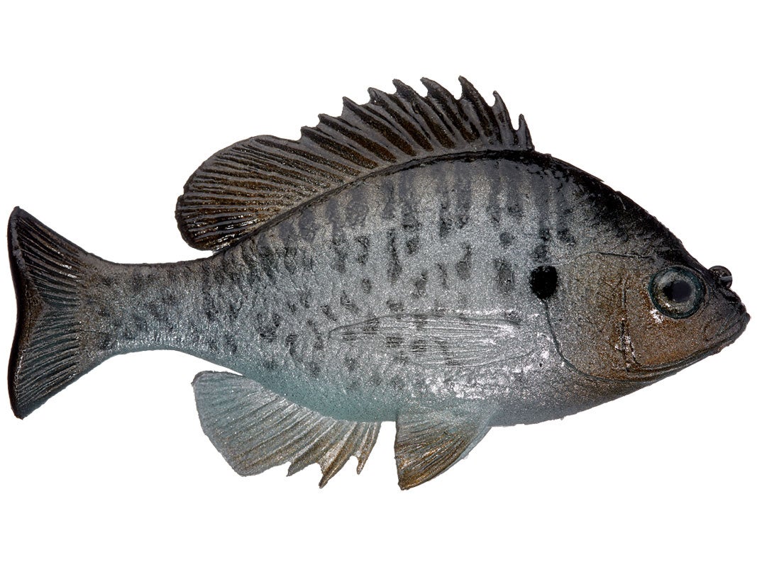 Huddleston Deluxe Bluegill Top Hook Swimbaits - Tackle Warehouse