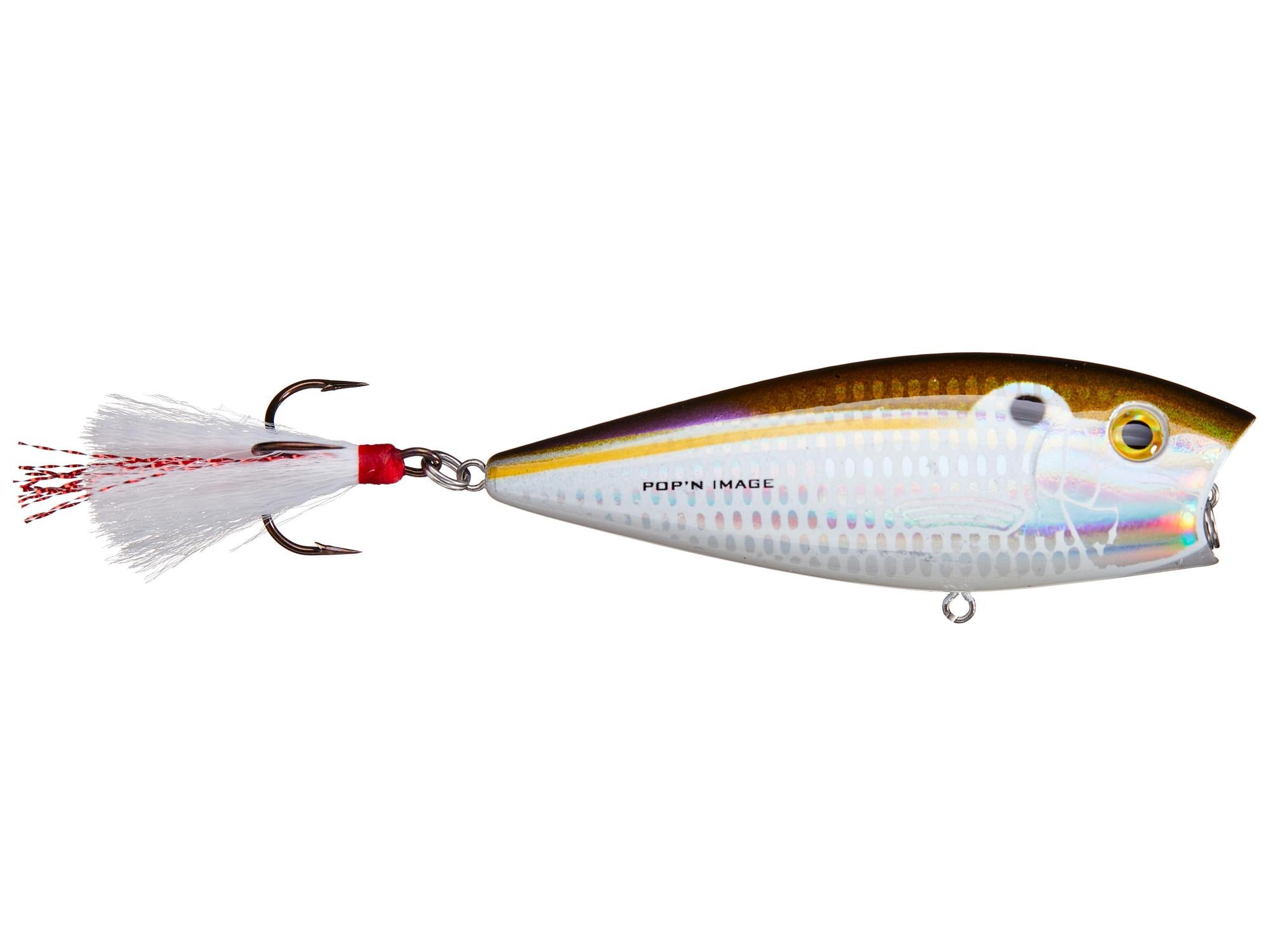 Heddon Pop'n Image Topwater Popper - Tackle Warehouse