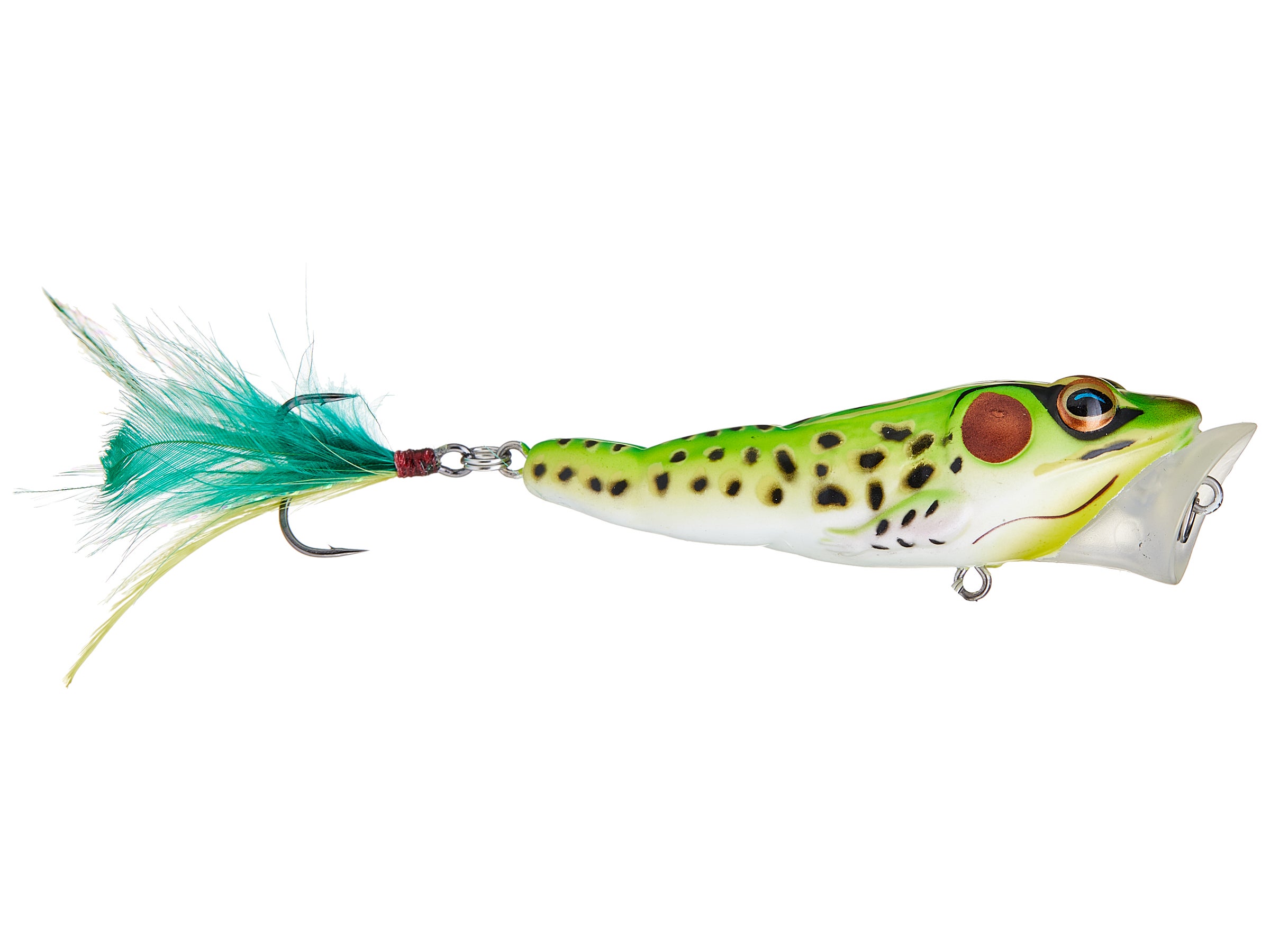LIVETARGET Frog Popper - Tackle Warehouse