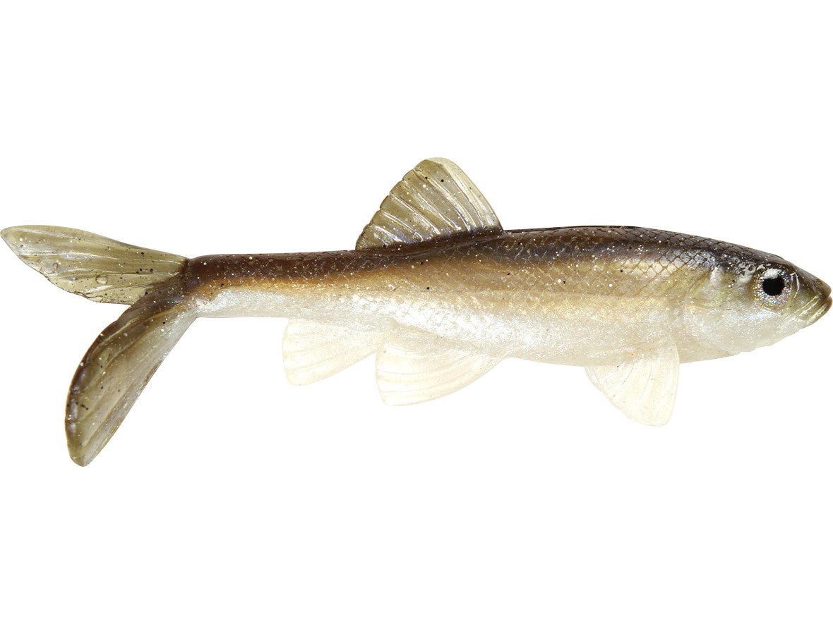 Little Creeper All American Trash Fish Swimbaits 2pk - Tackle Warehouse