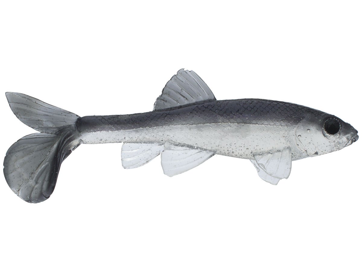 Little Creeper All American Trash Fish Swimbaits 2pk - Tackle Warehouse