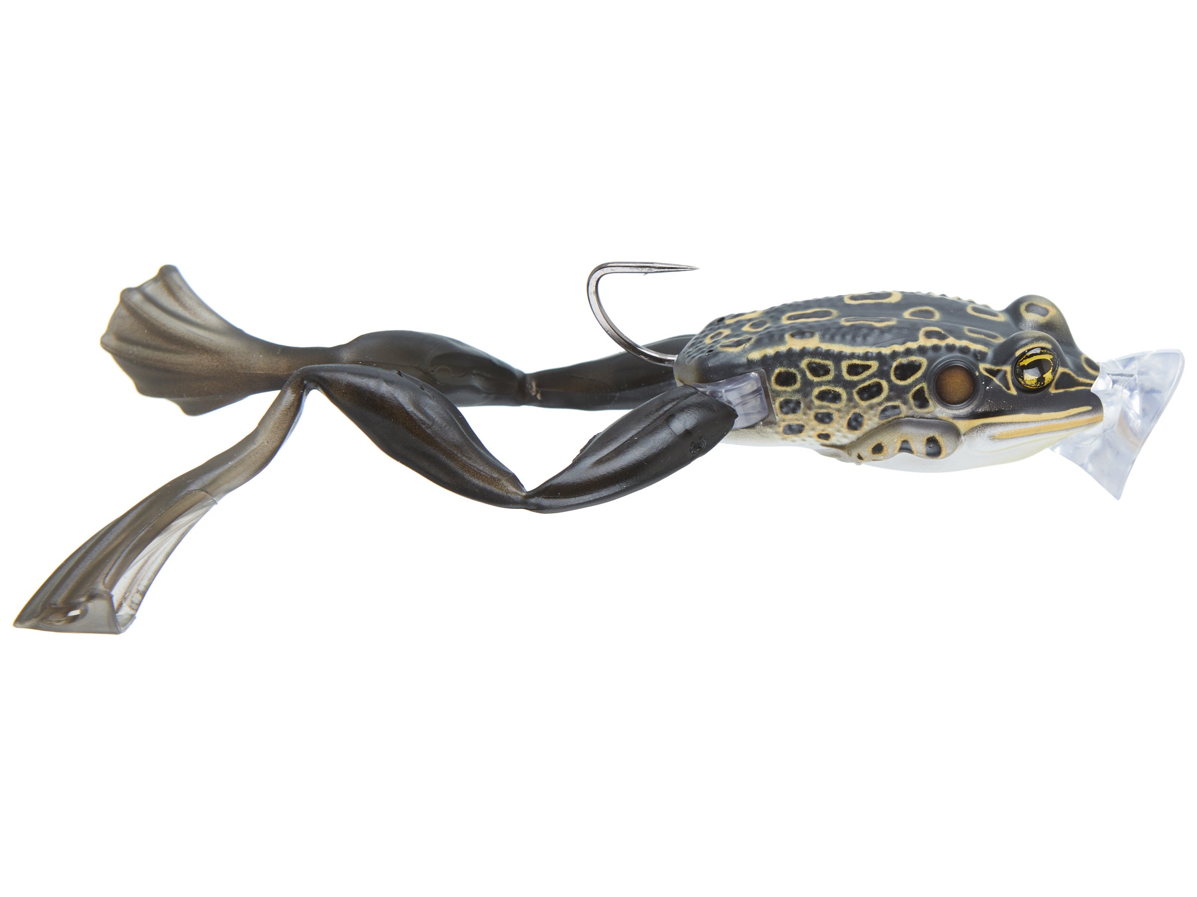 LIVETARGET Live Popper Frog - Tackle Warehouse