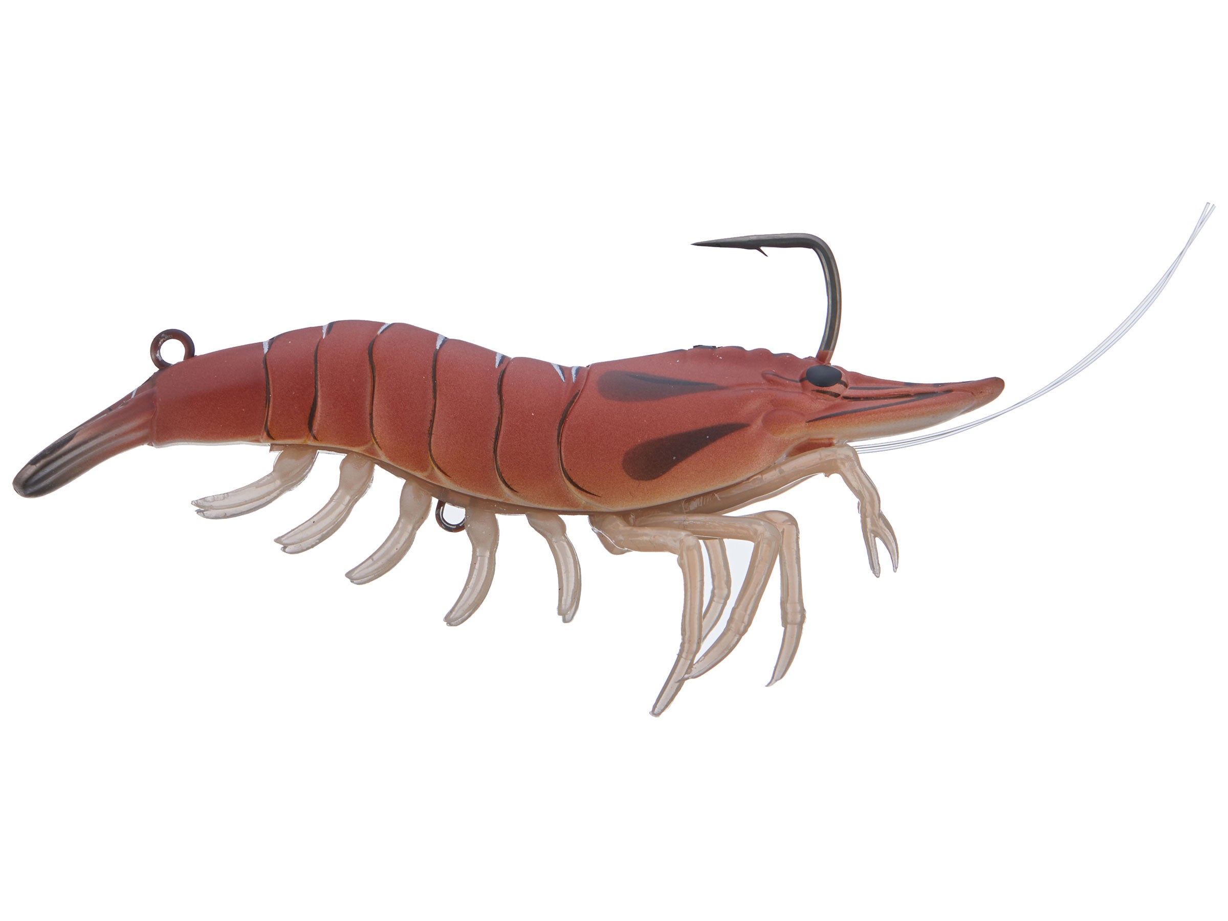 LIVETARGET Live Shrimp - Tackle Warehouse