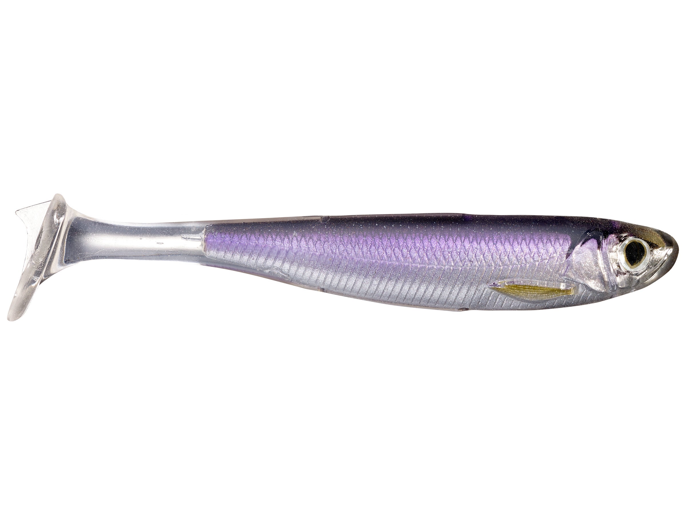 LIVETARGET Slow Roll Shiner Swimbait - Tackle Warehouse