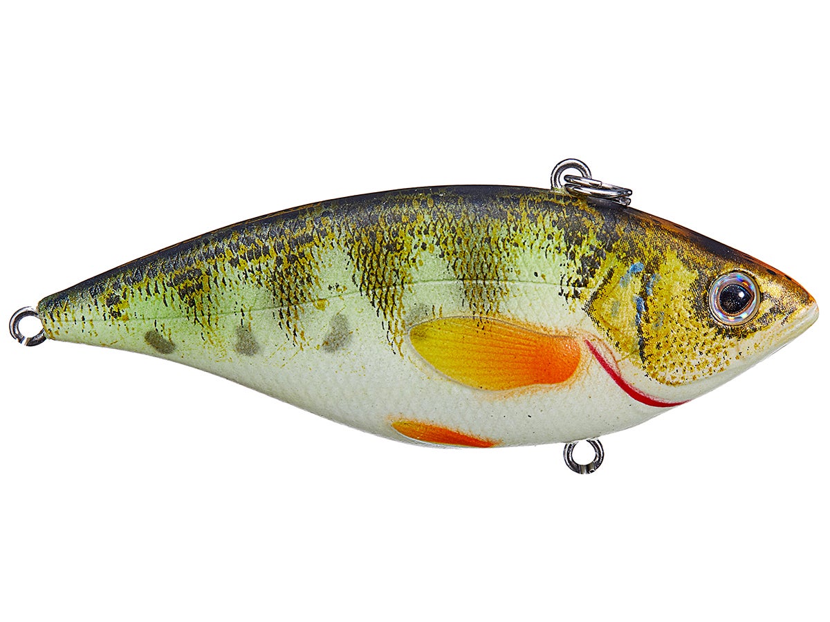 LIVETARGET Yellow Perch Lipless Crankbait - Tackle Warehouse