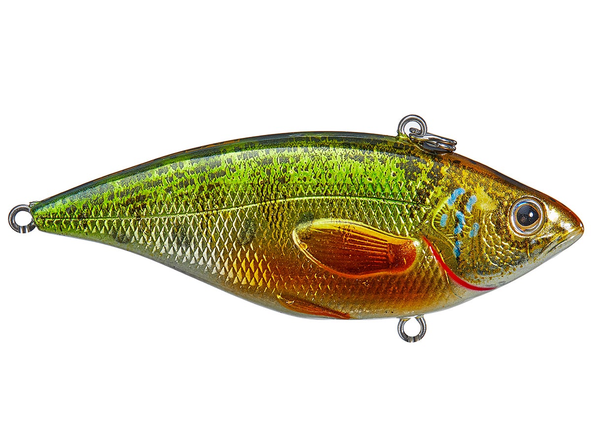 LIVETARGET Yellow Perch Lipless Crankbait - Tackle Warehouse