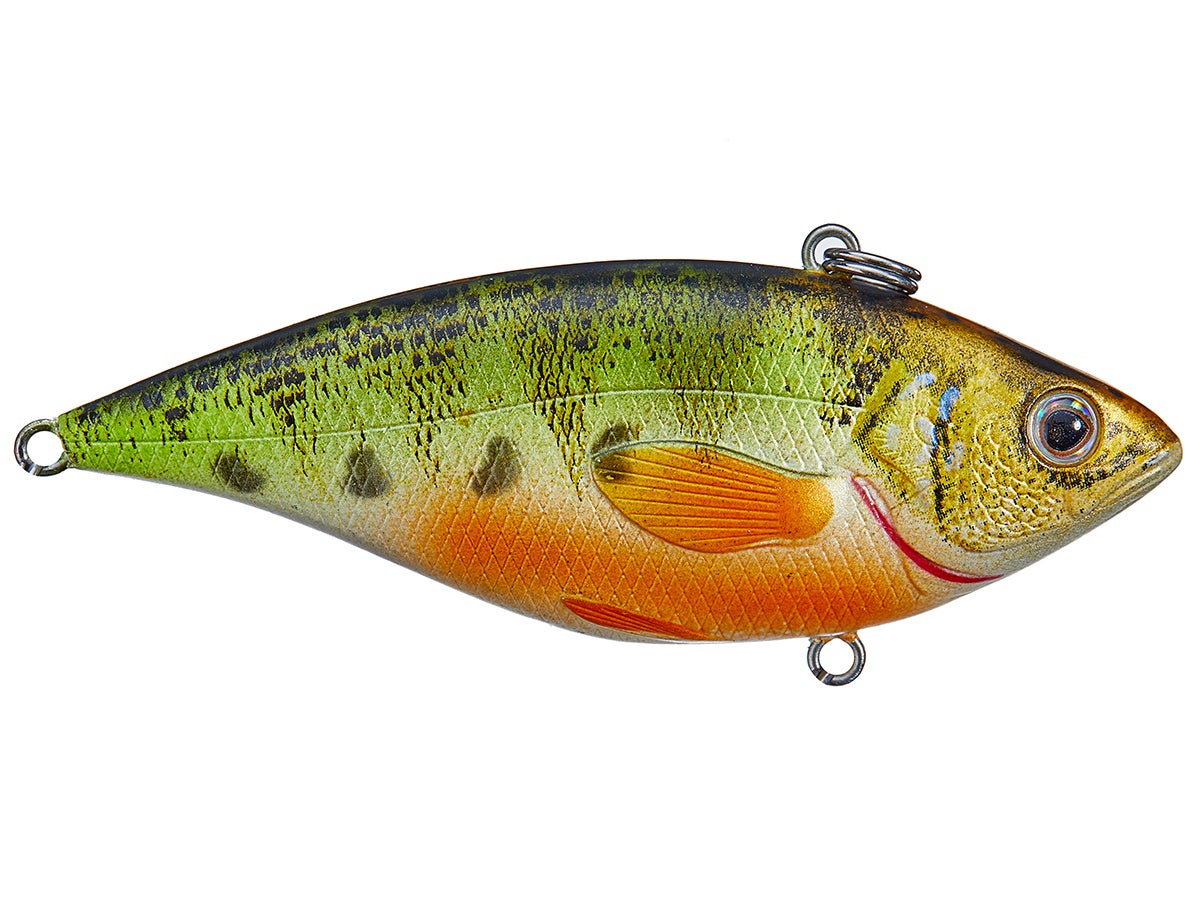 LIVETARGET Yellow Perch Lipless Crankbait - Tackle Warehouse