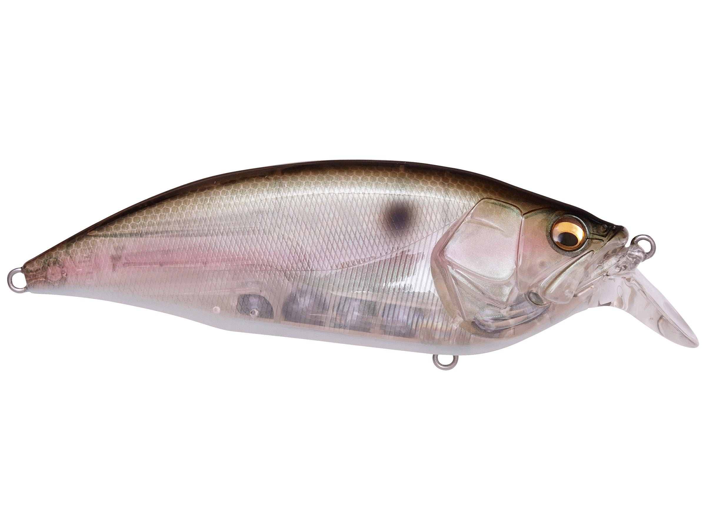Megabass Big-M 2.0 Crankbaits - Tackle Warehouse