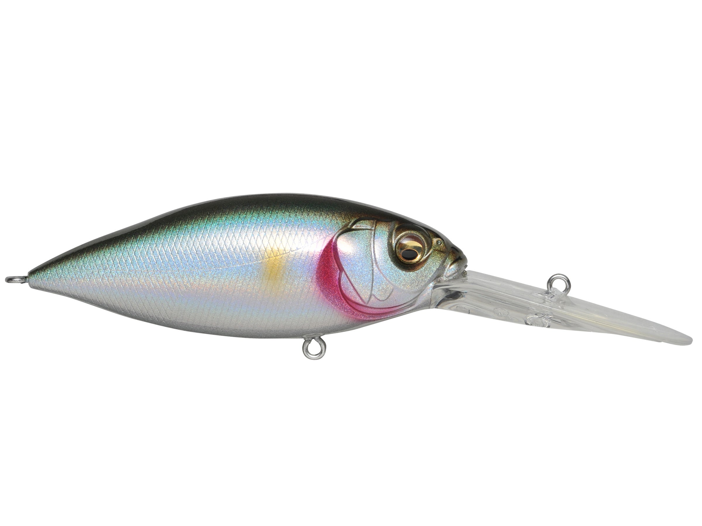 Megabass Deep X 300 Crankbaits Tackle Warehouse
