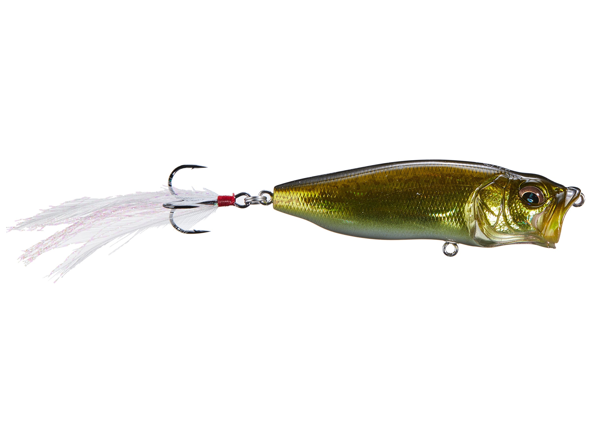 Megabass Pop Max - Tackle Warehouse