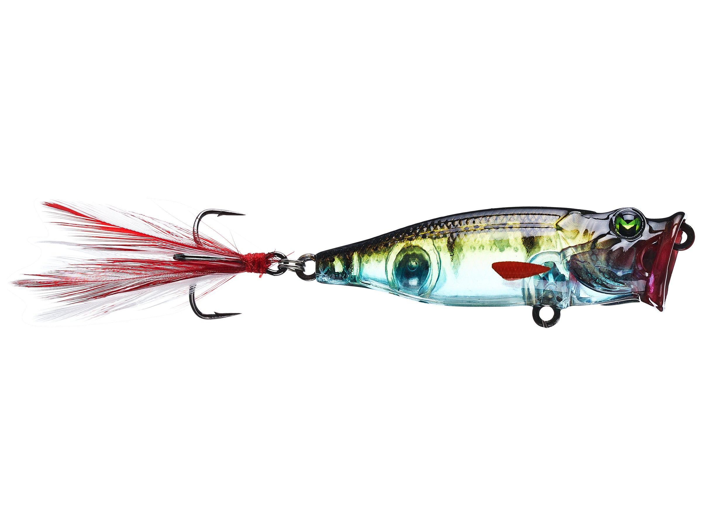 Mach Baits Sprayin Shad Popper - Tackle Warehouse