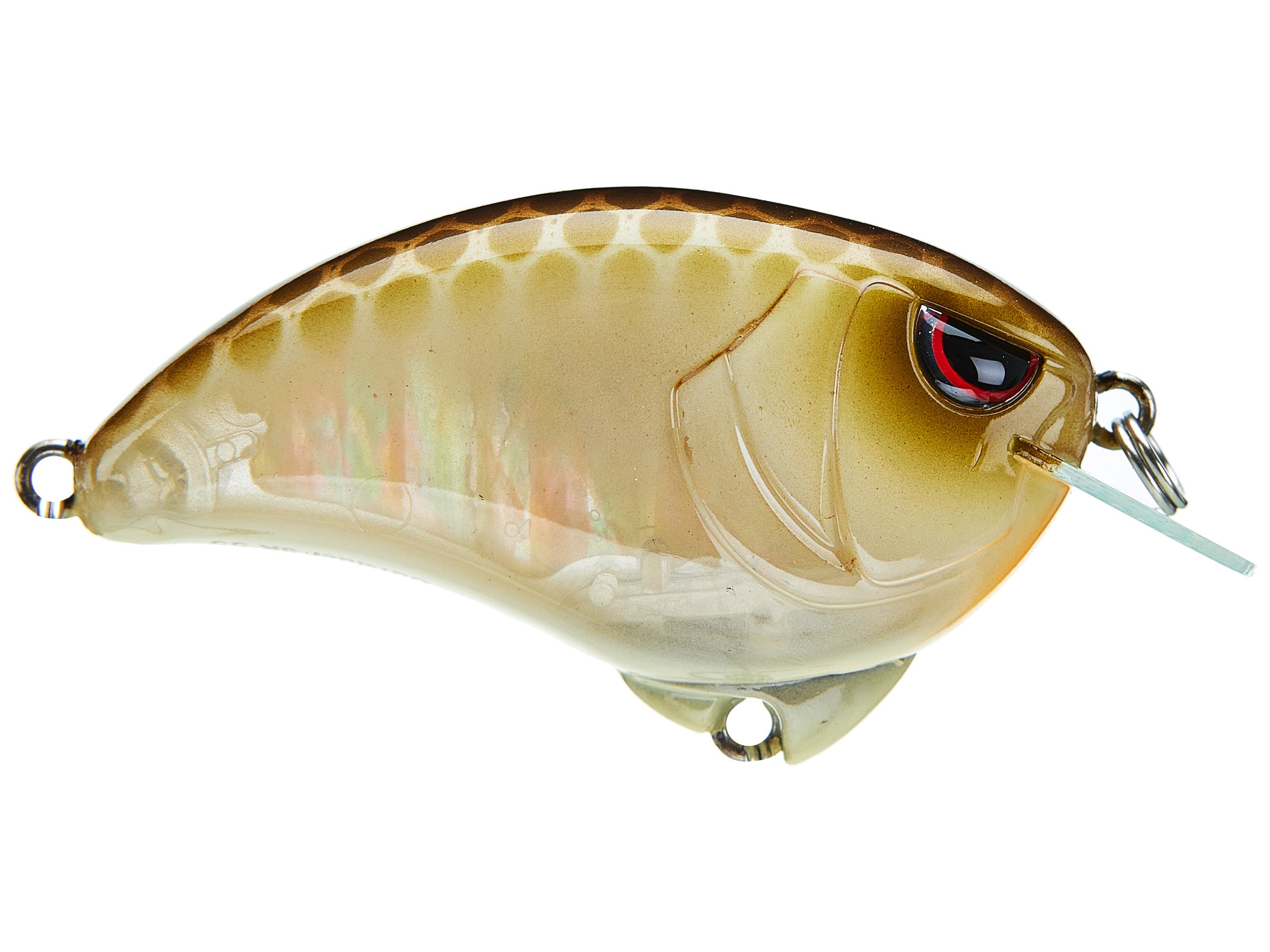 SPRO Outsider Crank SR 55 Crankbait - Tackle Warehouse