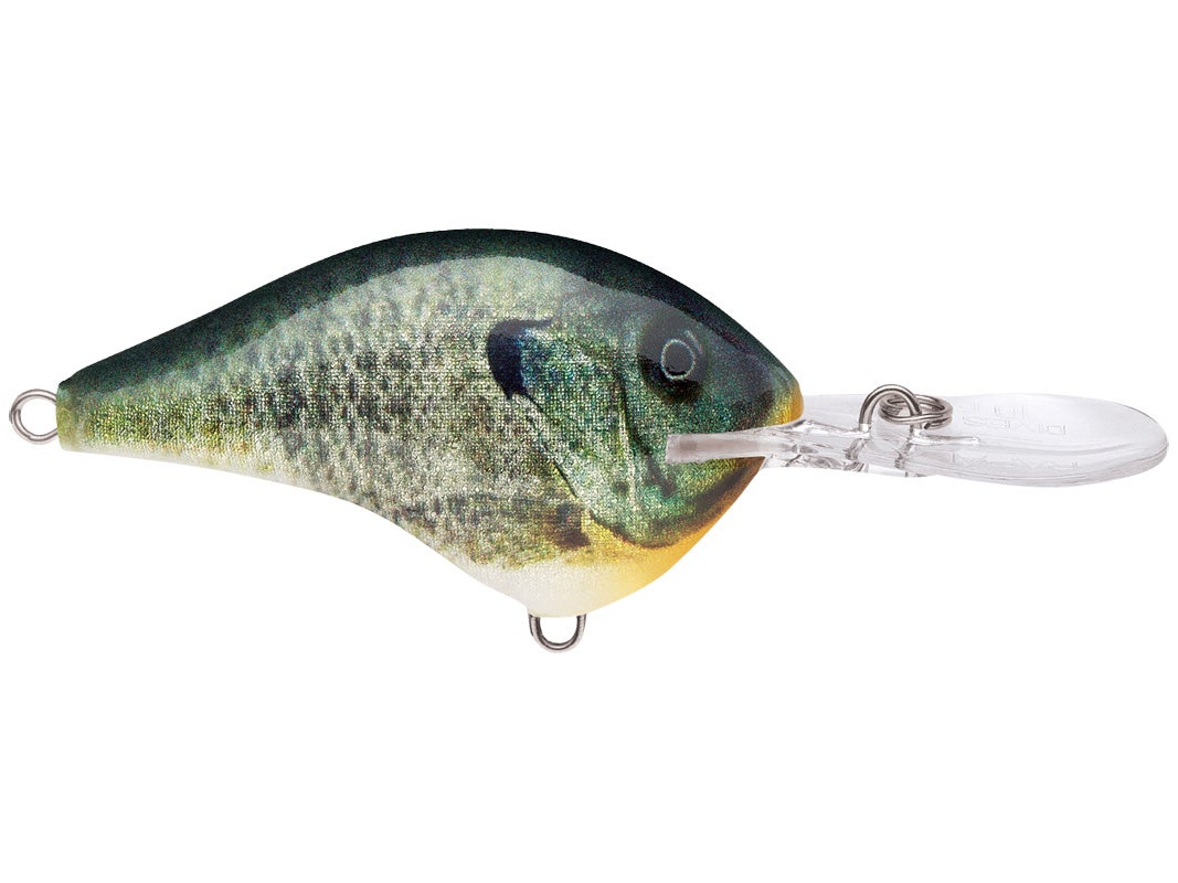 Rapala DT10 Series Crankbaits - Tackle Warehouse