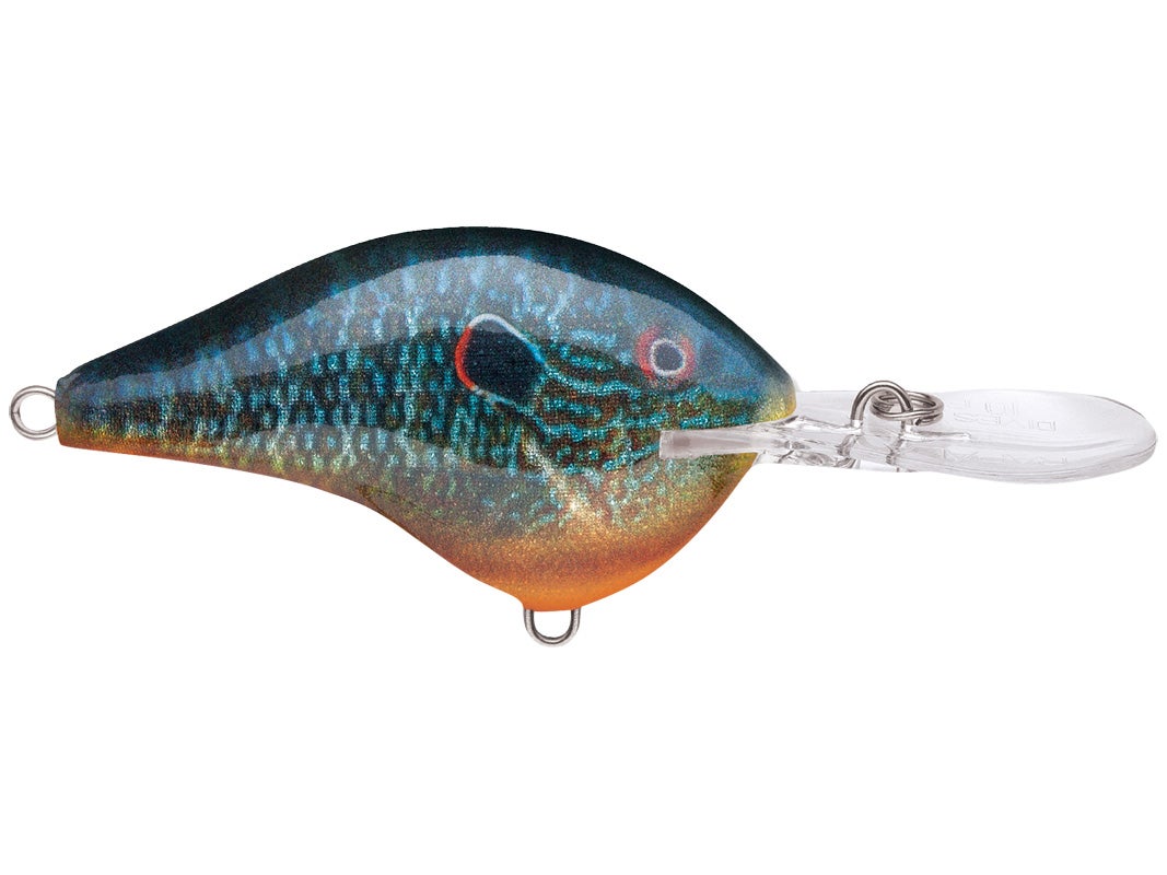 Rapala DT10 Series Crankbaits - Tackle Warehouse