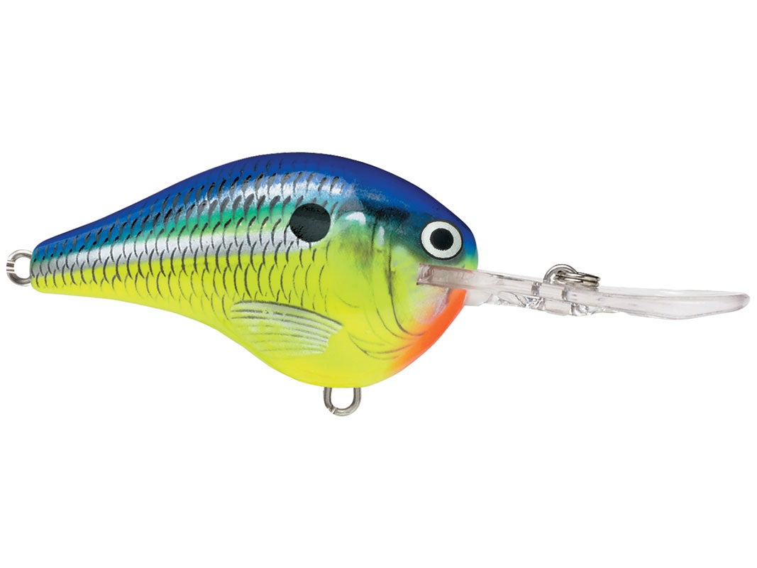 Rapala DT10 Series Crankbaits - Tackle Warehouse