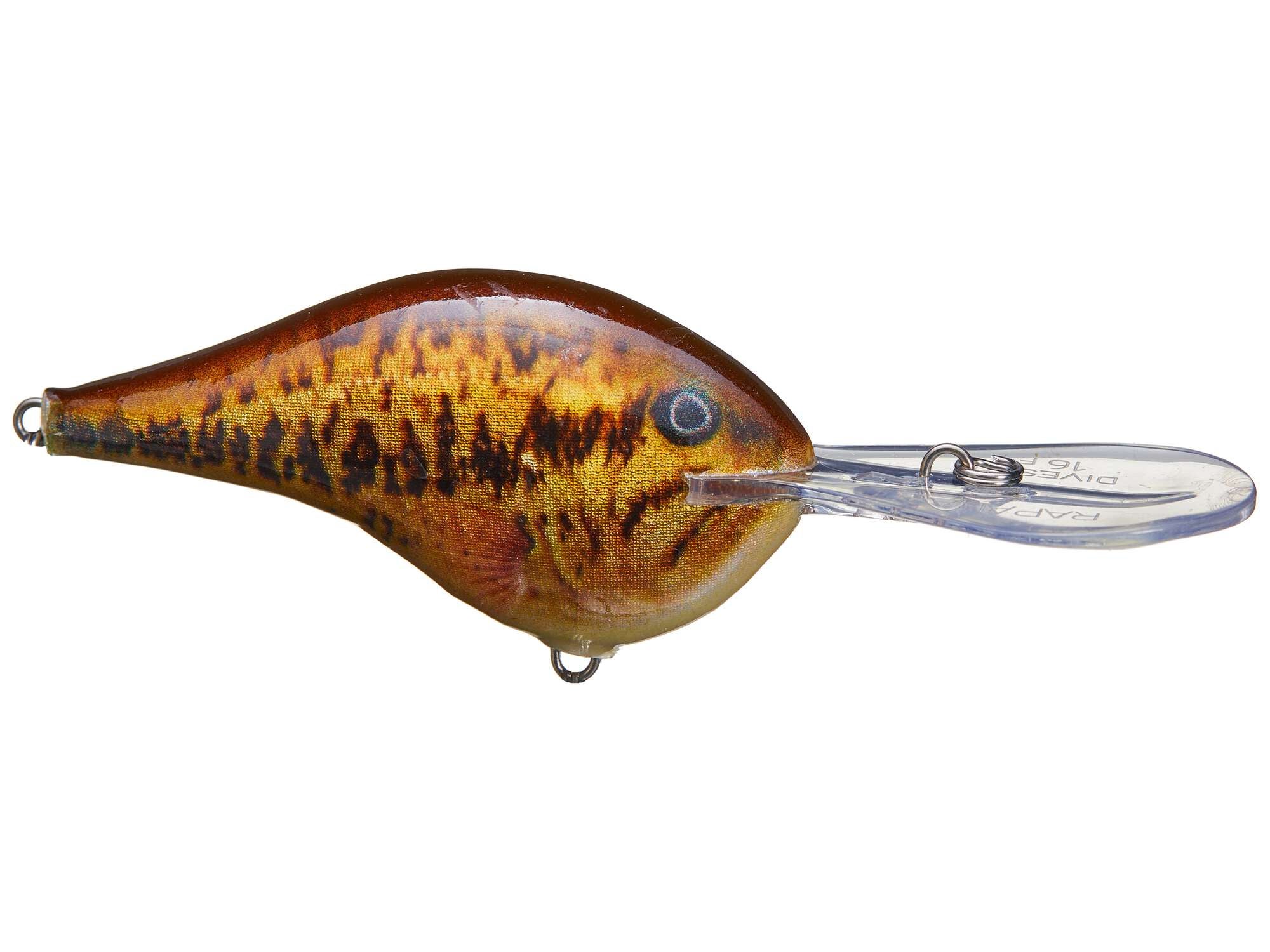 Rapala DT16 Series Crankbaits - Tackle Warehouse