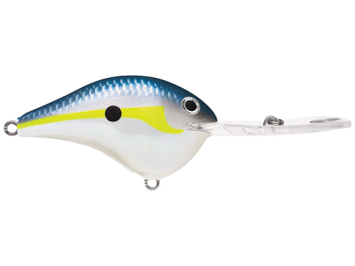 Rapala DT20 Series Crankbaits - Tackle Warehouse