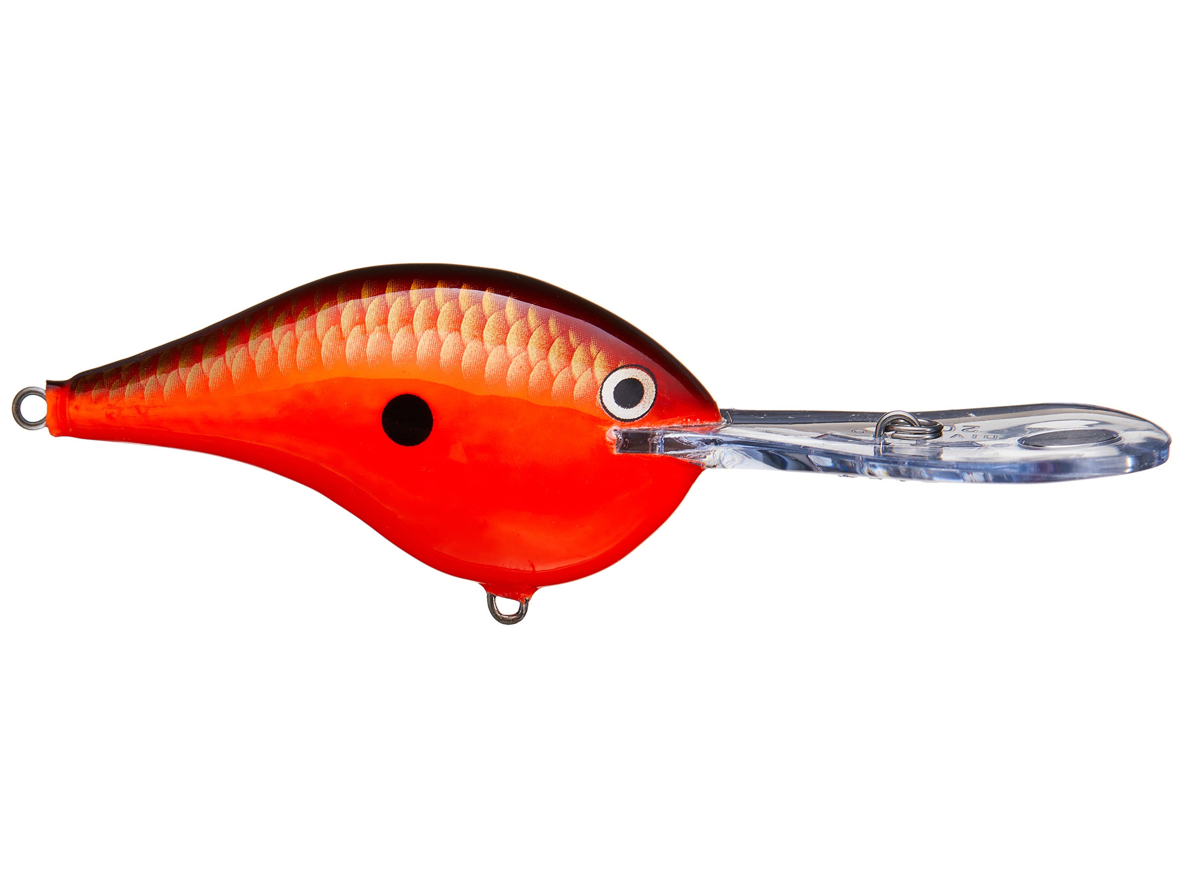 Rapala DT20 Series Crankbaits - Tackle Warehouse