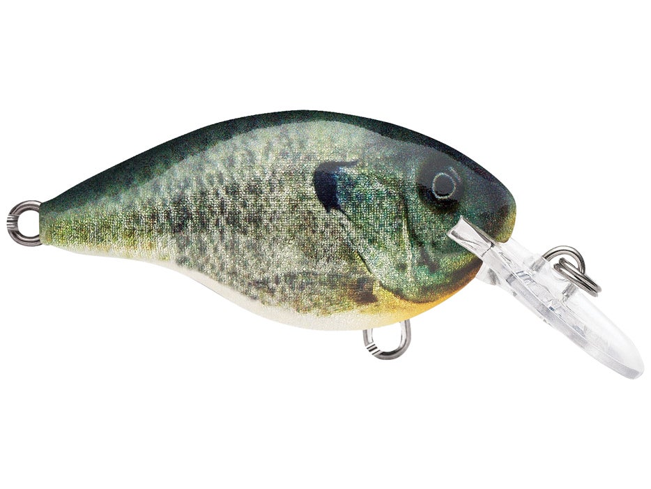 Rapala DT4 Series Crankbaits - Tackle Warehouse