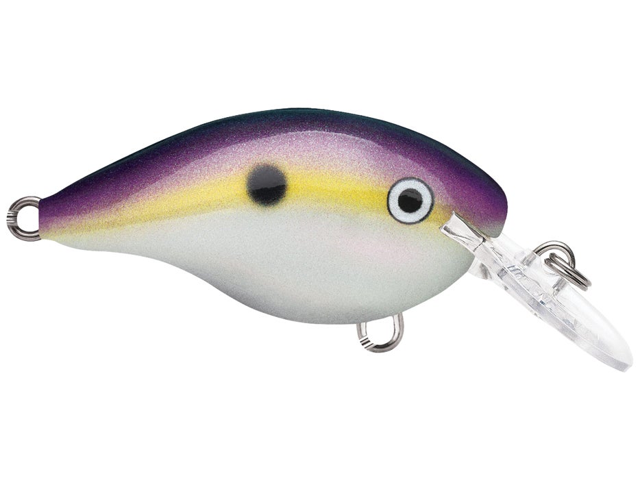 Rapala DT4 Series Crankbaits - Tackle Warehouse