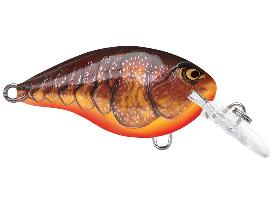 Rapala DT4 Series Crankbaits - Tackle Warehouse