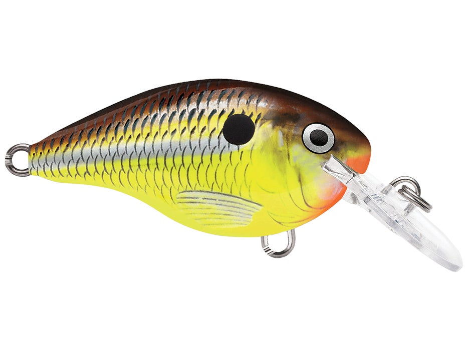 Rapala DT4 Series Crankbaits - Tackle Warehouse