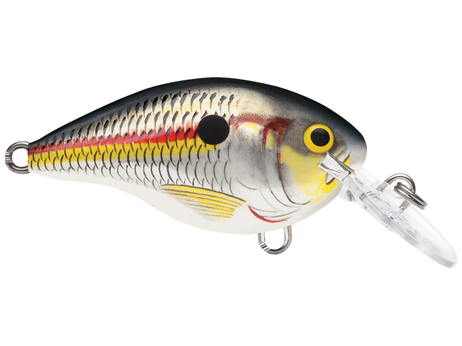 Rapala DT4 Series Crankbaits - Tackle Warehouse